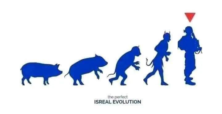 Evolution des juifs – Israël 24/7